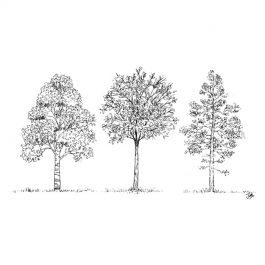 Digi Stamp - Three Trees